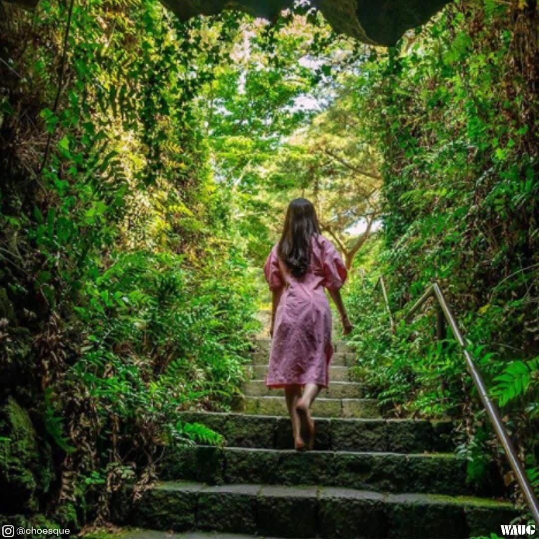 Hallim Park in Jeju: List of Festivals & Entrance Fee