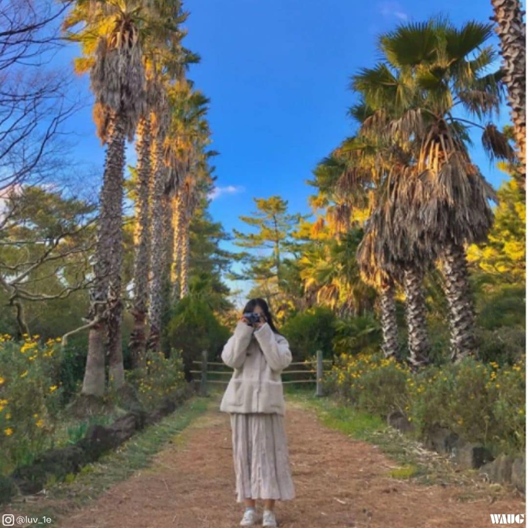 5 Things to Do in Jeju During Spring: March, April, & May