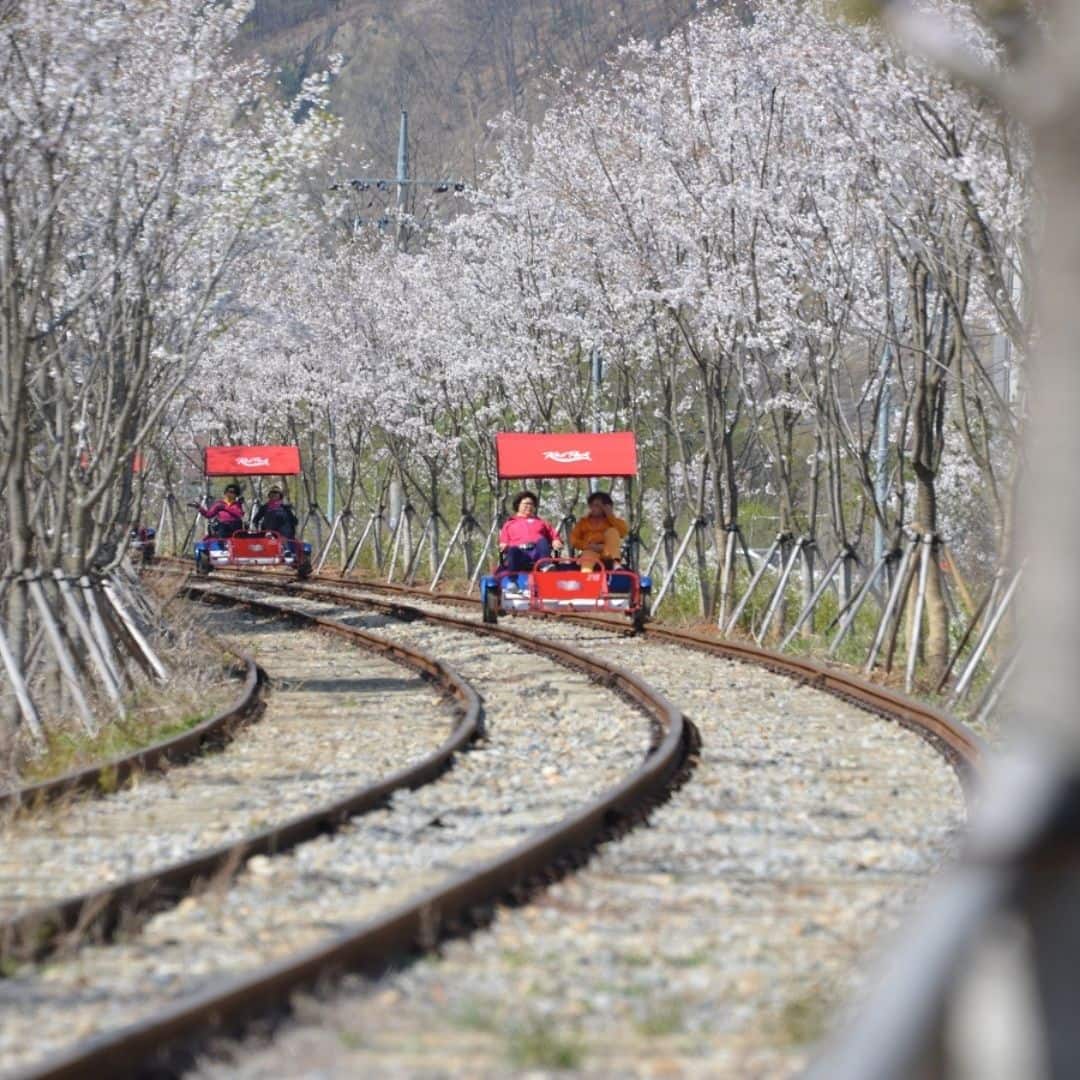 Gangchon Rail Park: Best Time to Visit & How to Get Tickets