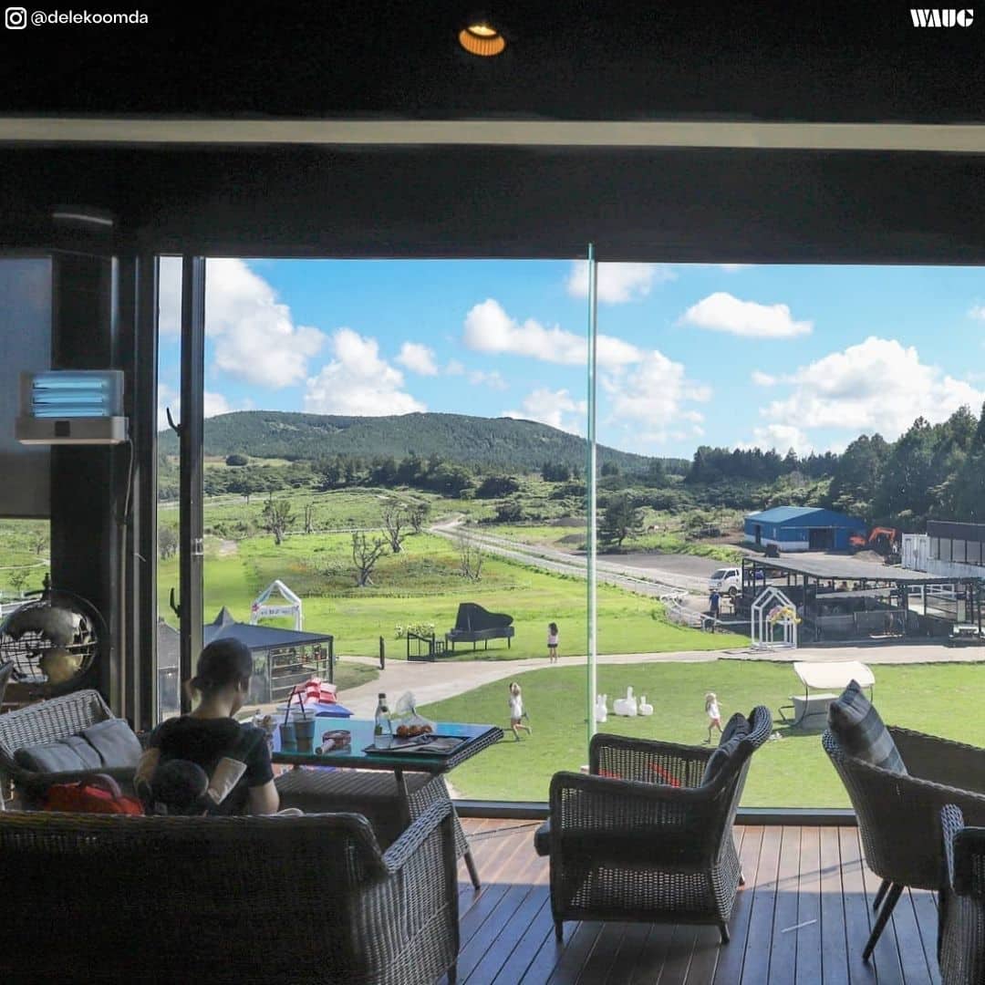 Go-Kart in Jeju: Best Race Parks to Visit & Ticket Price