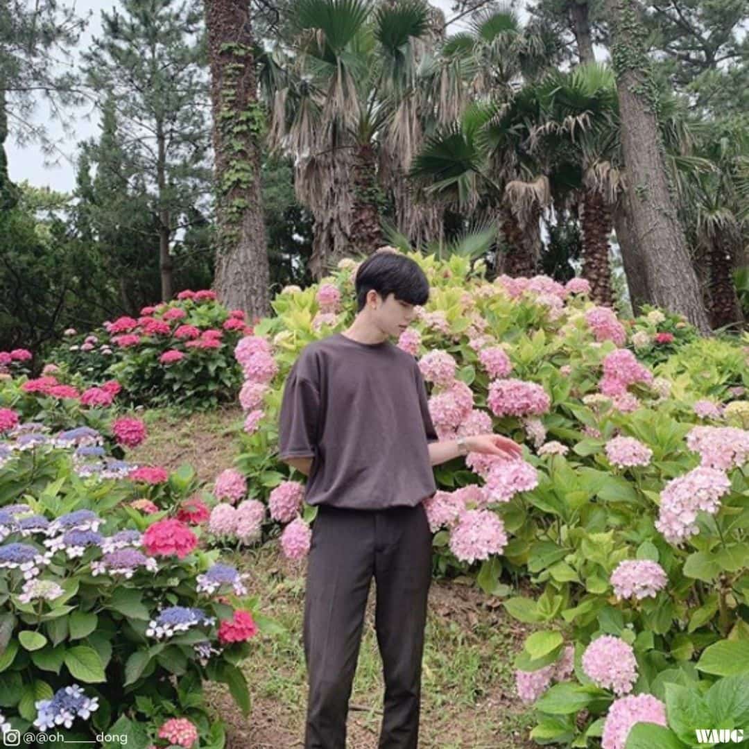 5 Things to Do in Jeju During Spring: March, April, & May