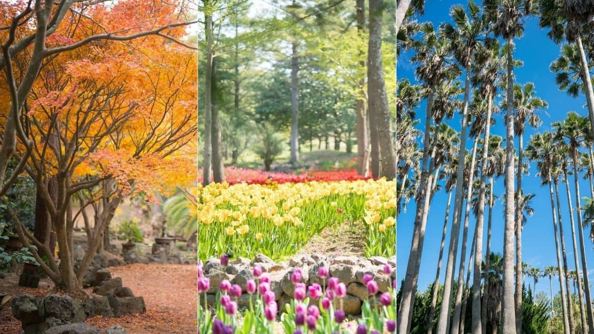 Hallim Park in Jeju: List of Festivals & Entrance Fee
