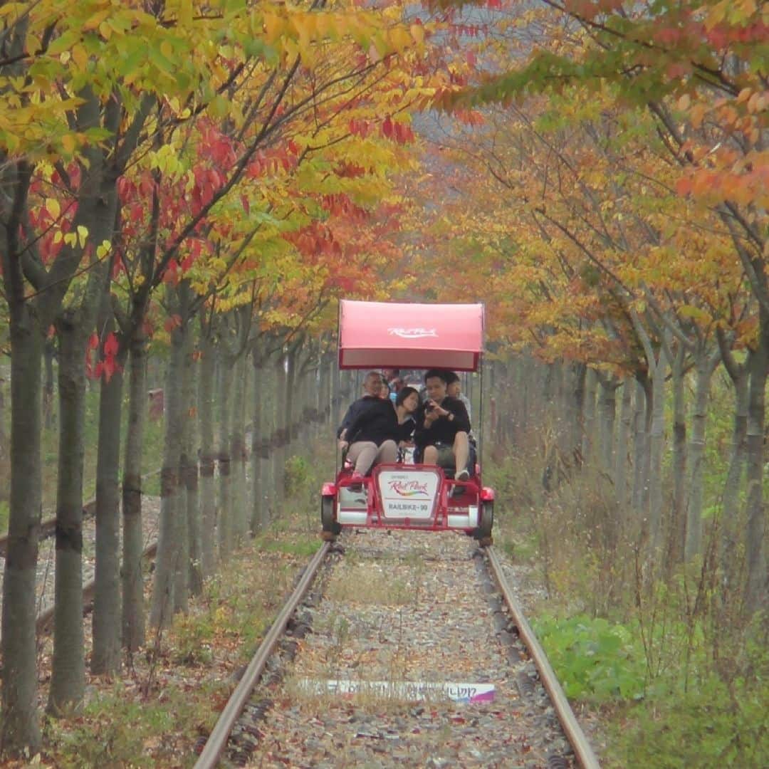 Gangchon Rail Park: Best Time to Visit & How to Get Tickets