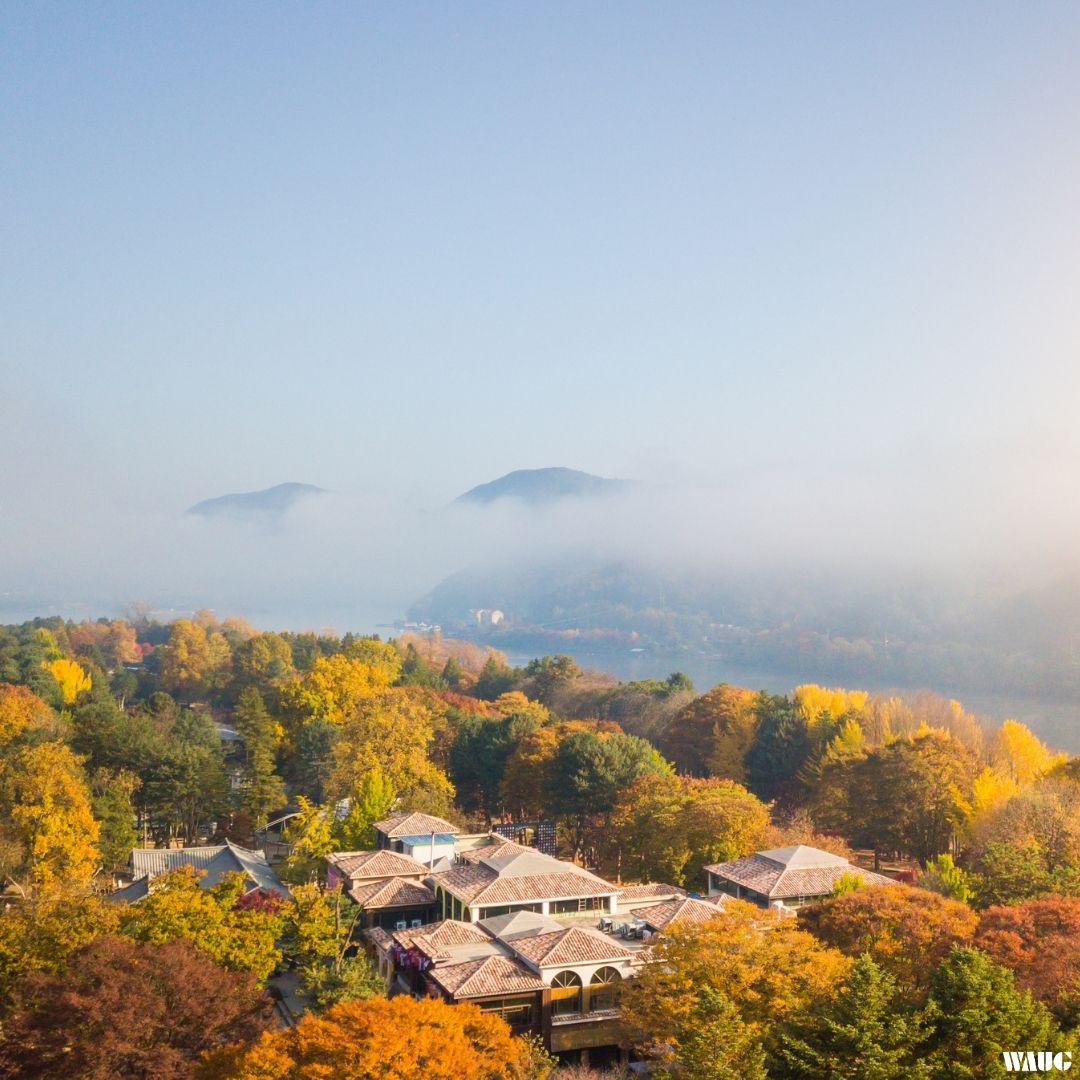 Experience Fall in Nami Island, Garden of Morning Calm, & Petite France!