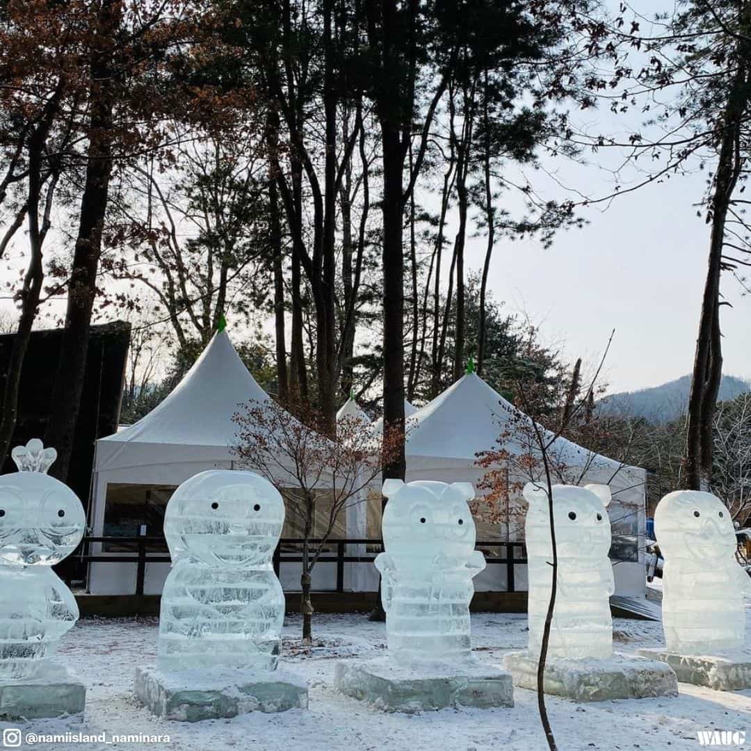 Nami Island in Winter: 2020-21 Guide & Best Tour from Seoul