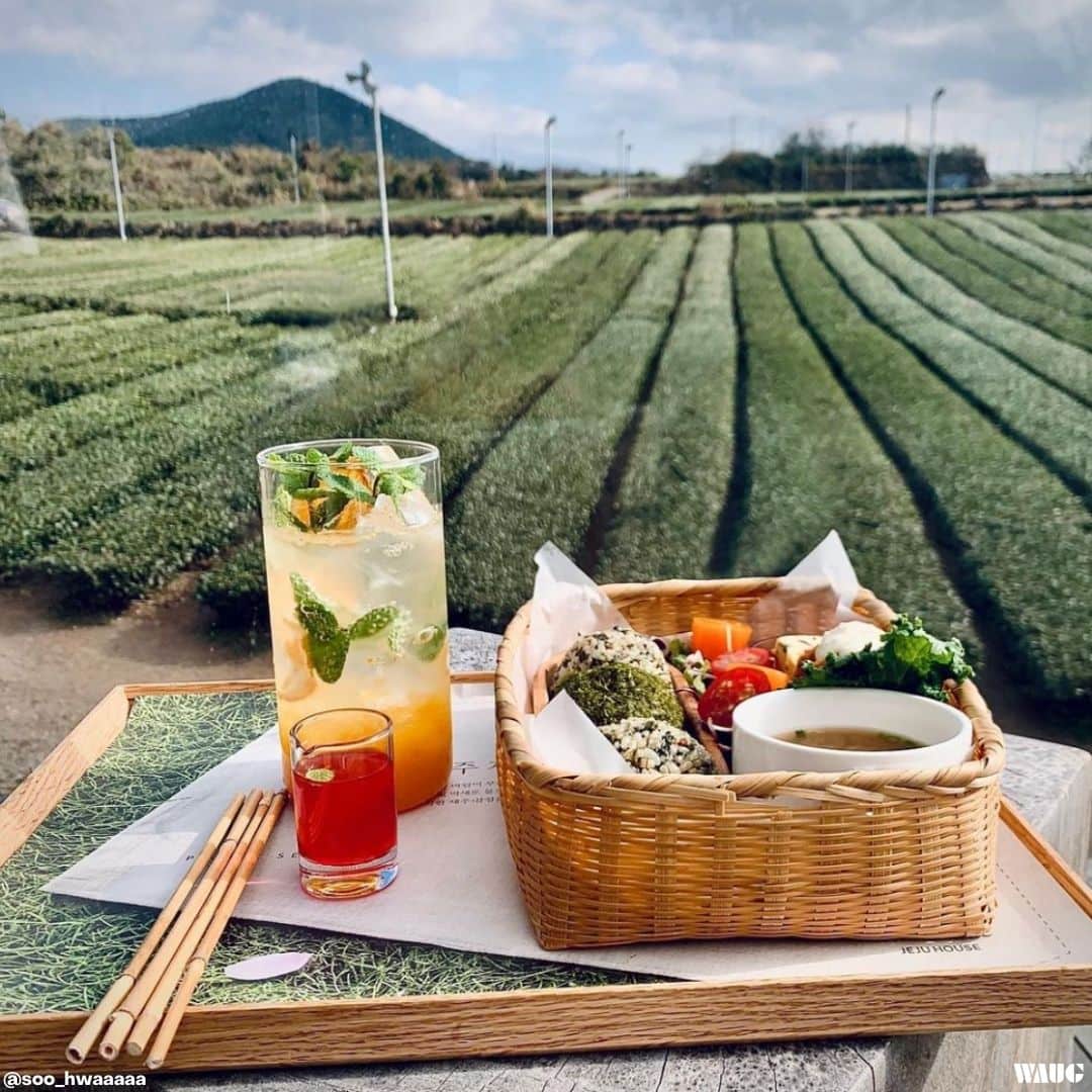 2 Best Cafes in Jeju That are Totally Instagram-Worthy