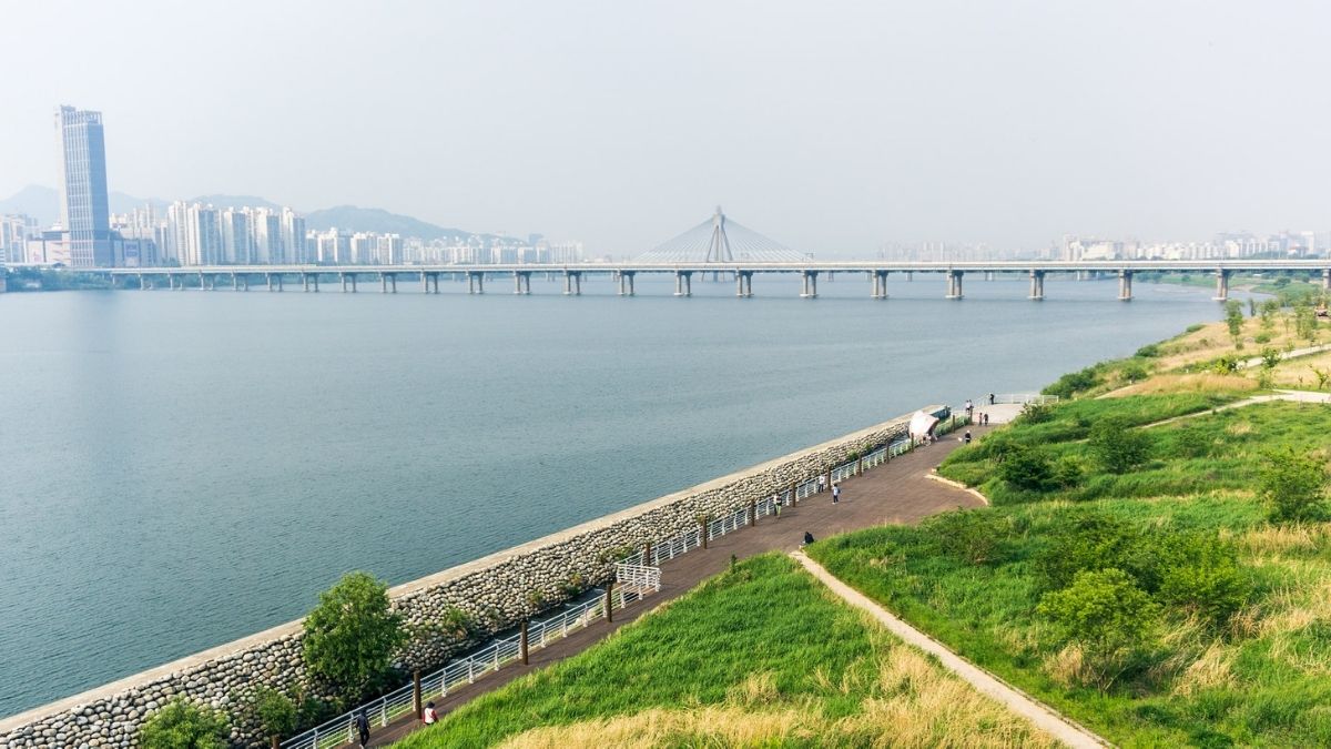 Picnic at Han River: How to Get Tents, Mats, & More