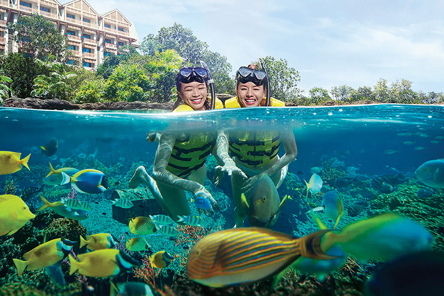 Singapore's Sentosa: 5 Things You Can't Miss